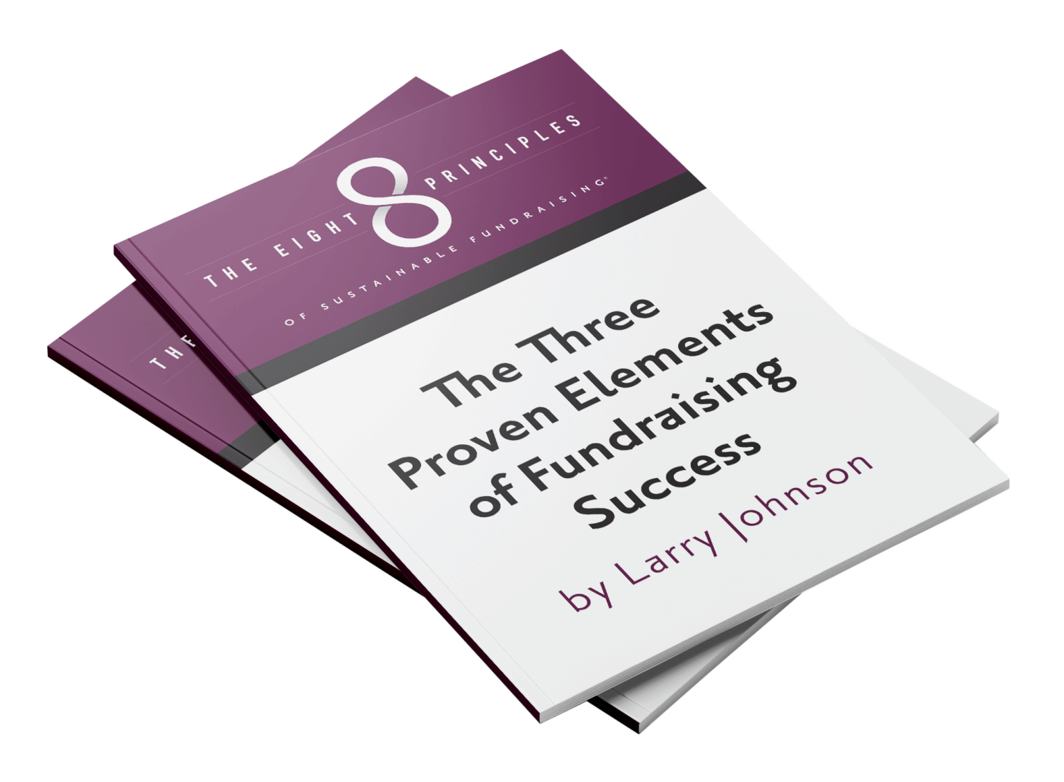 Five Step Plan - The Eight Principles